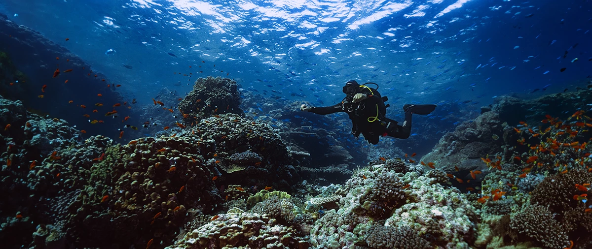 Elba 11 Night - DUNE Liveaboard